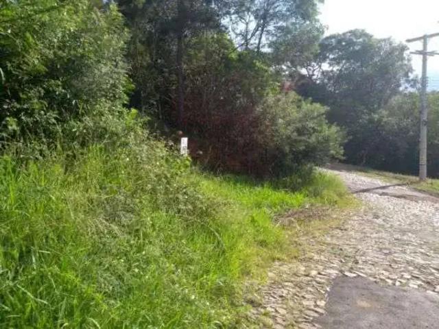 Terreno / Lote para Venda em São Leopoldo/RS Feitoria
