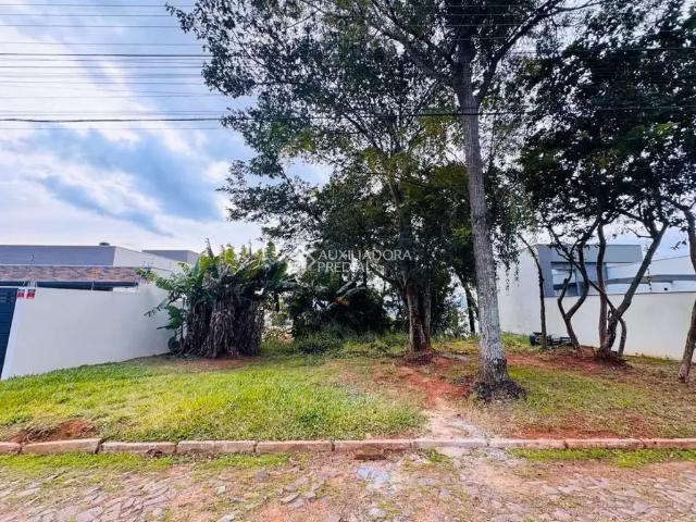Terreno / Lote para Venda em São Leopoldo/RS Feitoria