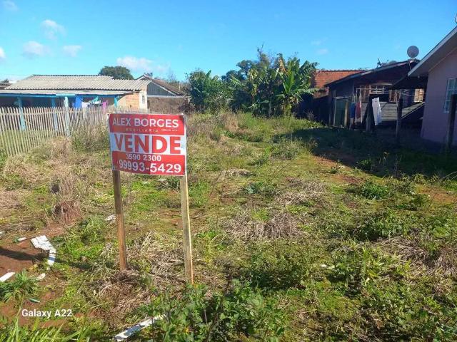Terreno / Lote para Venda em São Leopoldo/RS Feitoria