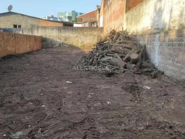 Terreno / Lote para Venda em São Leopoldo/RS Fião