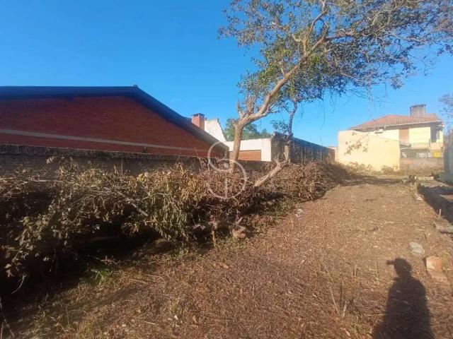 Terreno / Lote para Venda em São Leopoldo/RS Fião