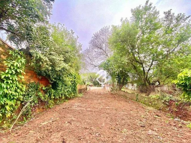 Terreno / Lote para Venda em São Leopoldo/RS Fião