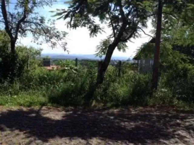Terreno / Lote para Venda em São Leopoldo/RS Jardim América