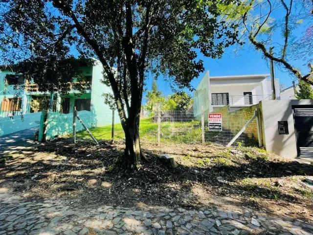 Terreno / Lote para Venda em São Leopoldo/RS Jardim América