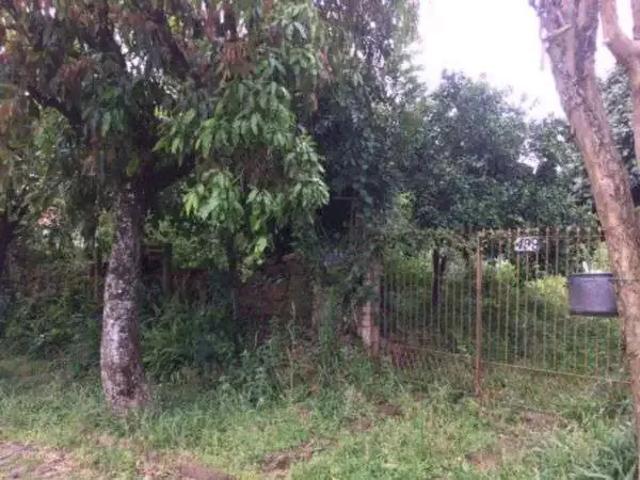 Terreno / Lote para Venda em São Leopoldo/RS Jardim América