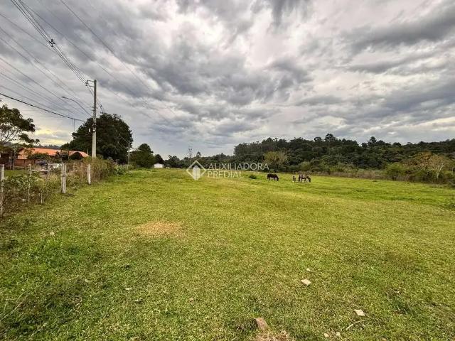 Terreno / Lote para Venda em São Leopoldo/RS Jardim América