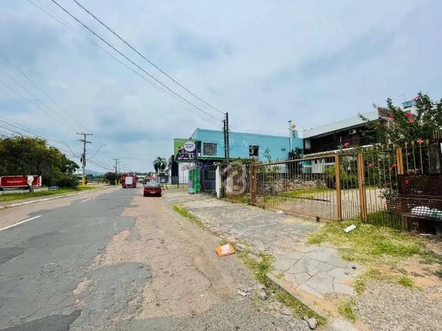 Terreno / Lote para Venda em São Leopoldo/RS Jardim América
