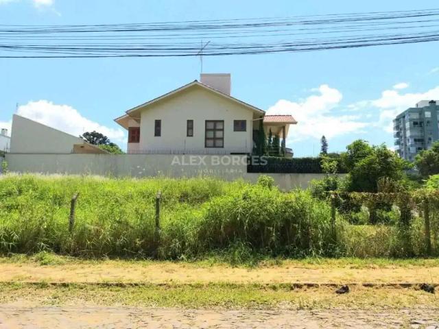 Terreno / Lote para Venda em São Leopoldo/RS Morro do Espelho