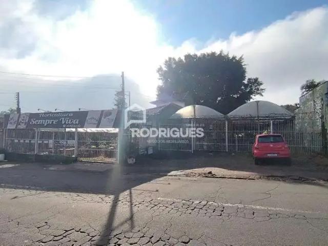 Terreno / Lote para Venda em São Leopoldo/RS Padre Reus