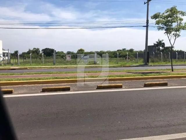 Terreno / Lote para Venda em São Leopoldo/RS Pinheiro