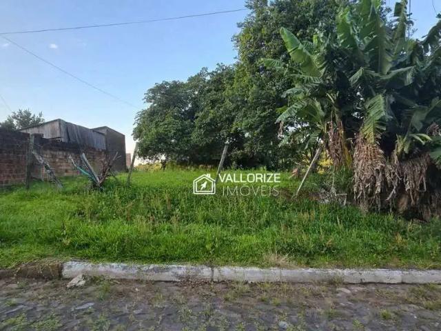 Terreno / Lote para Venda em São Leopoldo/RS São Borja