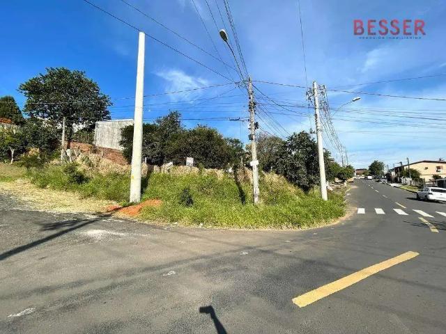 Terreno / Lote para Venda em São Leopoldo/RS Scharlau