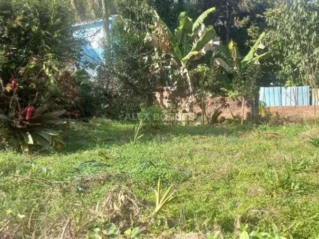 Terreno / Lote para Venda em São Leopoldo/RS Scharlau
