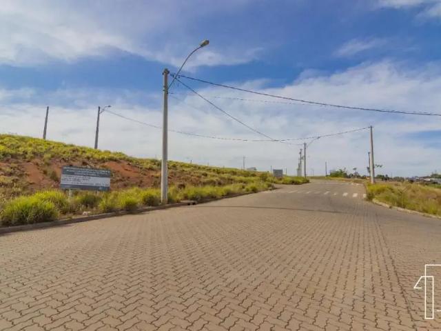 Terreno / Lote para Venda em São Leopoldo/RS Scharlau