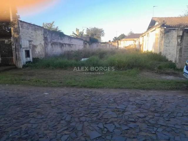 Terreno / Lote para Venda em São Leopoldo/RS Scharlau