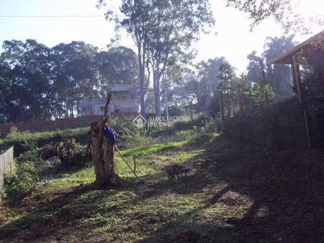 Terreno / Lote para Venda em São Leopoldo/RS Scharlau