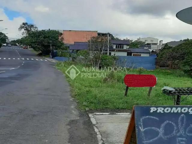 Terreno / Lote para Venda em São Leopoldo/RS Santa Teresa