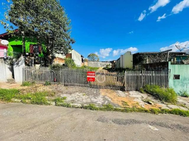Terreno / Lote para Venda em São Leopoldo/RS Santa Teresa