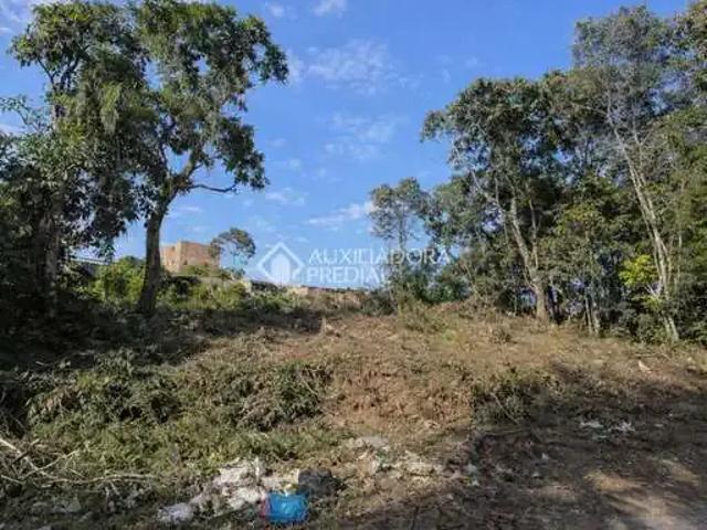 Terreno / Lote para Venda em São Leopoldo/RS Santo André