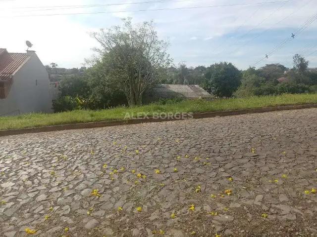 Terreno / Lote para Venda em São Leopoldo/RS Santo André