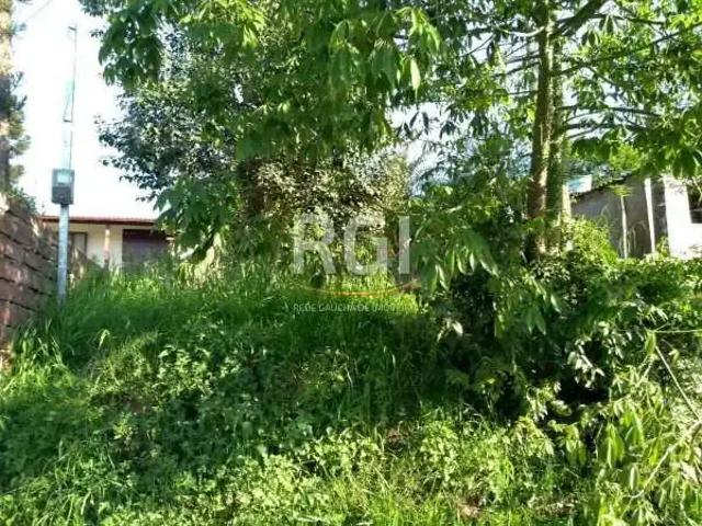 Terreno / Lote para Venda em São Leopoldo/RS Santo André