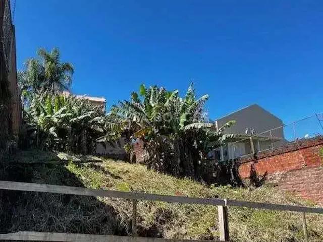 Terreno / Lote para Venda em São Leopoldo/RS Santo André