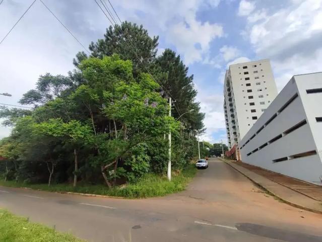 Terreno / Lote para Venda em São Leopoldo/RS Santo André