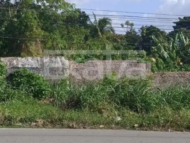 Terreno / Lote para Venda em São Luís/MA Olho D'Água