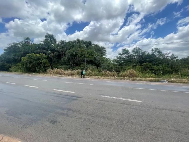 Terreno / Lote para Venda em São Luís/MA Pedrinhas