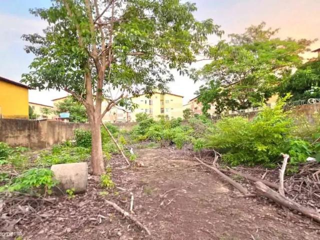 Terreno / Lote para Venda em São Luís/MA Turu