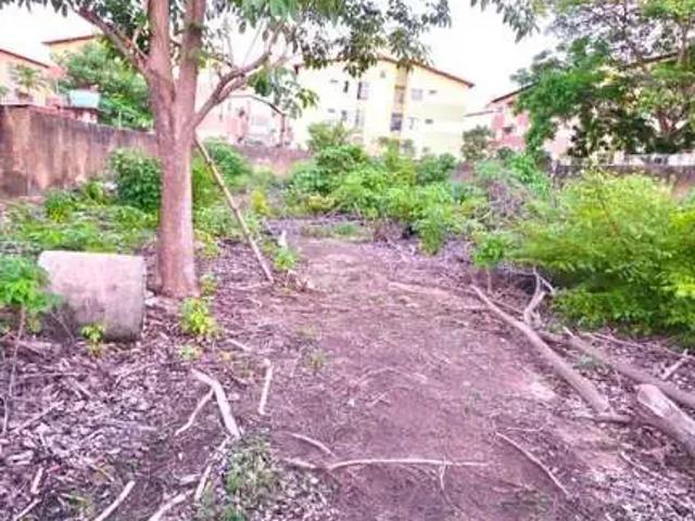 Terreno / Lote para Venda em São Luís/MA Turu