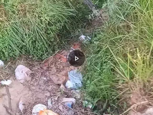 Terreno / Lote para Venda em São Luís/MA Tibiri