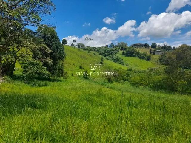 Terreno / Lote para Venda em São Luiz do Paraitinga/SP Bairro das Perobas