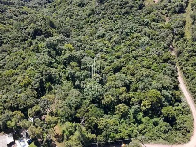 Terreno / Lote para Venda em São Marcos/RS Pedras Brancas