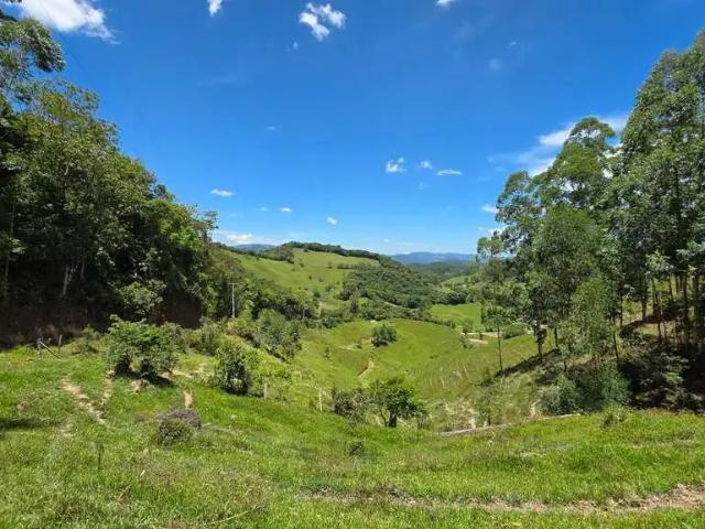 Terreno / Lote para Venda em São Martinho/SC Centro
