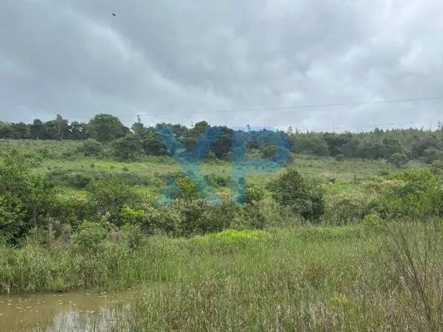 Terreno / Lote para Venda em São Sebastião do Oeste/MG Zona Rural