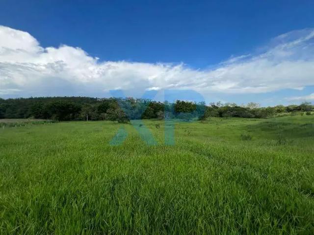 Terreno / Lote para Venda em São Sebastião do Oeste/MG Zona Rural
