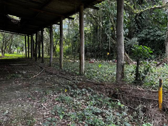 Terreno / Lote para Venda em São Sebastião/SP Camburi