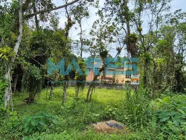 Terreno / Lote para Venda em São Sebastião/SP Camburi