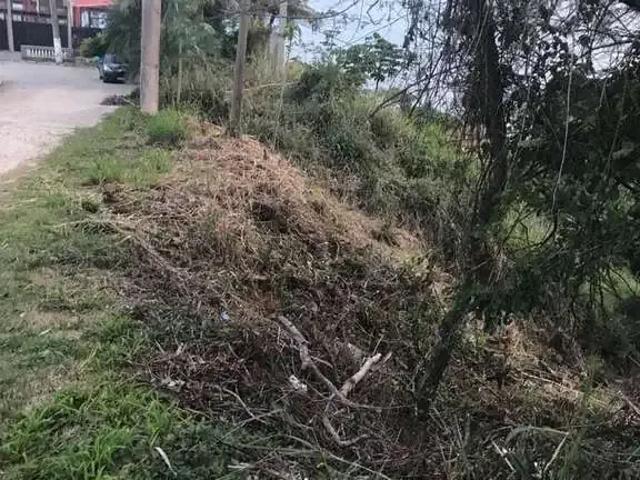 Terreno / Lote para Venda em São Sebastião/SP Cigarras