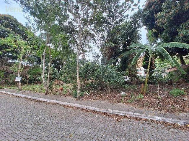 Terreno / Lote para Venda em São Sebastião/SP Cigarras