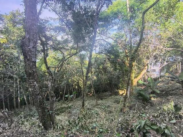Terreno / Lote para Venda em São Sebastião/SP Cigarras