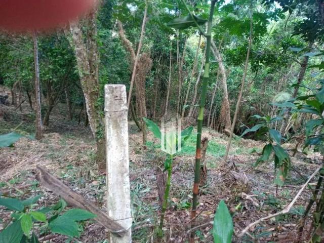 Terreno / Lote para Venda em São Sebastião/SP Cigarras