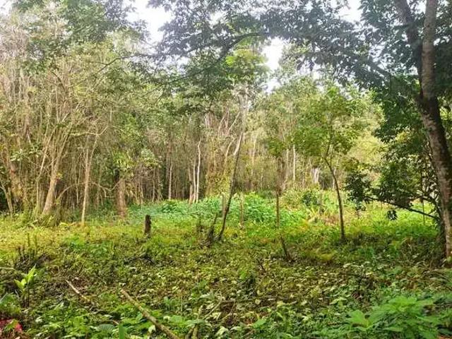 Terreno / Lote para Venda em São Sebastião/SP Boiçucanga