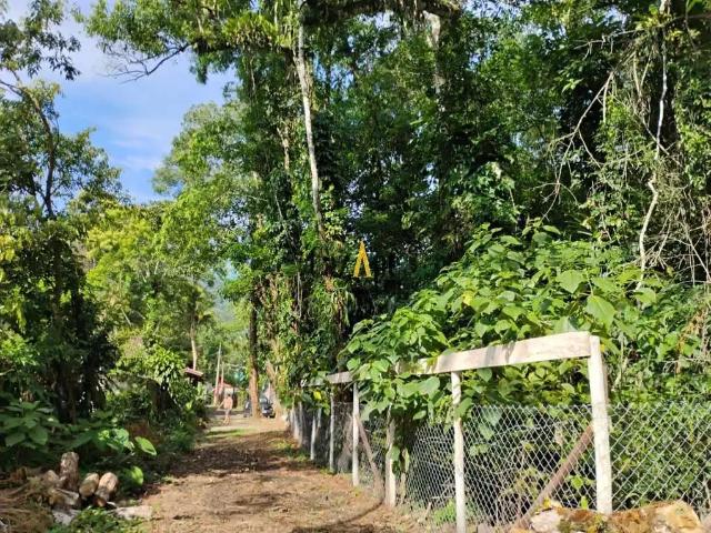 Terreno / Lote para Venda em São Sebastião/SP Boiçucanga