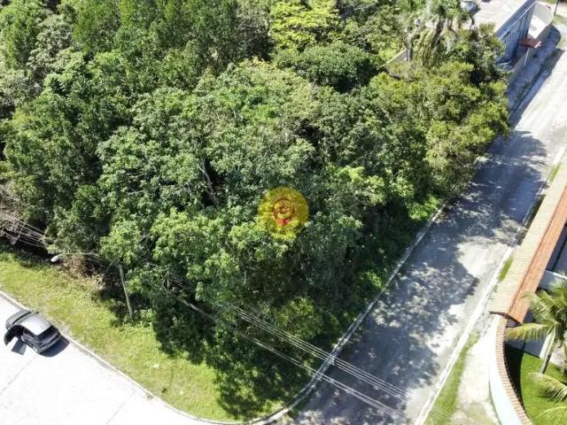 Terreno / Lote para Venda em São Sebastião/SP Boracéia
