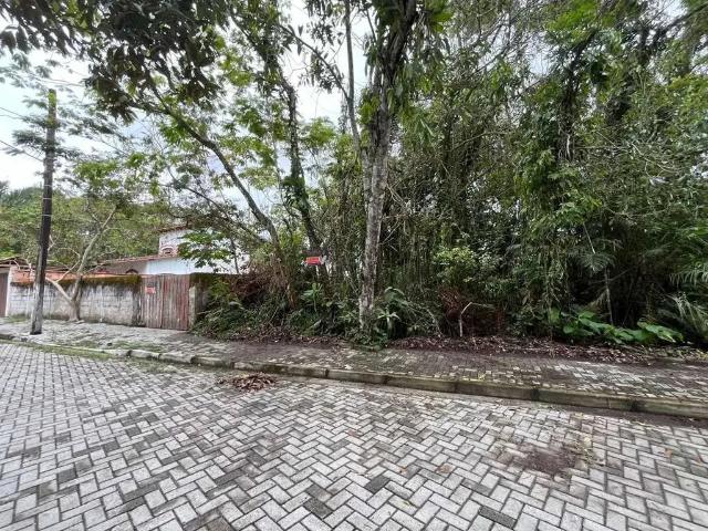 Terreno / Lote para Venda em São Sebastião/SP Boracéia