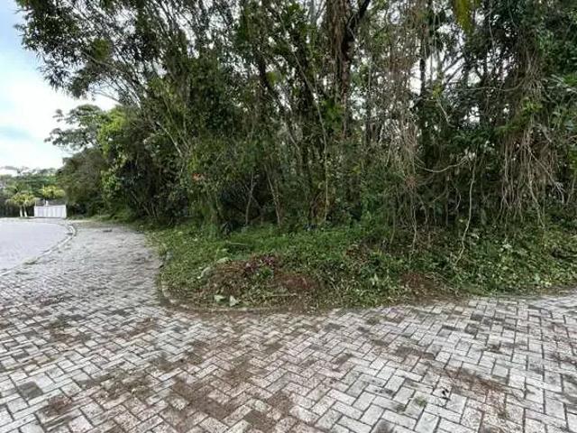 Terreno / Lote para Venda em São Sebastião/SP Boracéia