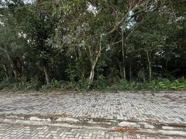 Terreno / Lote para Venda em São Sebastião/SP Boracéia