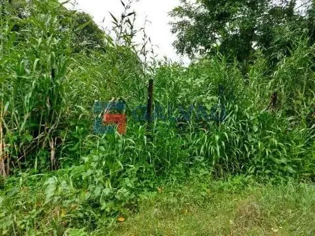 Terreno / Lote para Venda em São Sebastião/SP Boracéia